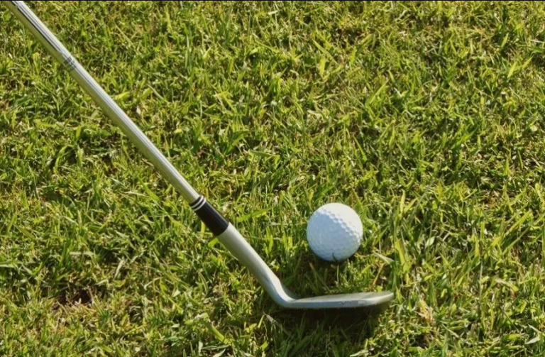 6 Best Cavity Back Irons Reviewed in Detail (Winter 2024)